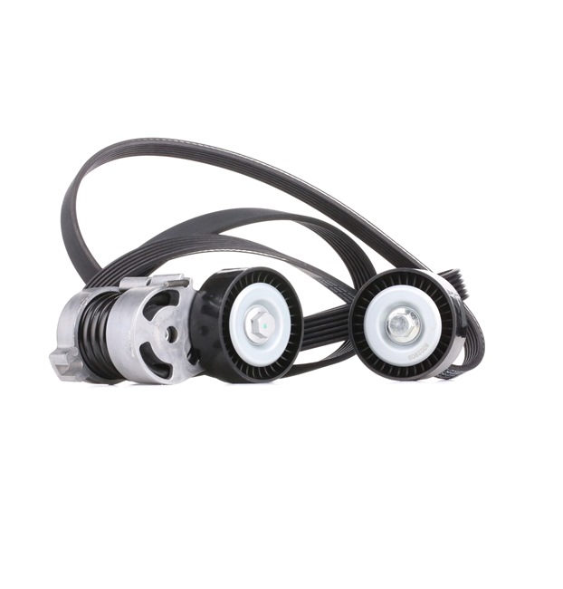 11287631810 OEM part number V-Ribbed belts, Tensioner lever, V-Ribbed ...