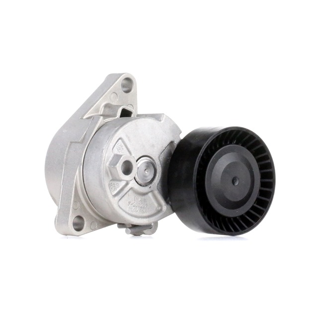 11281433571 OEM part number Tensioner pulley, V-Ribbed belt, Tensioner ...