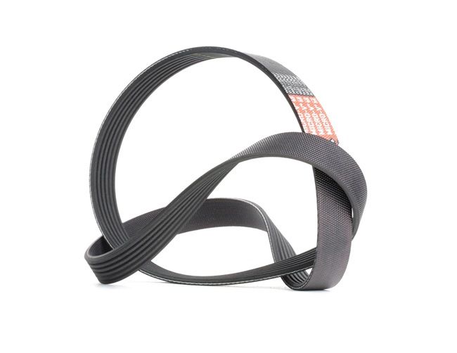 504092335 OEM part number V-Ribbed belts